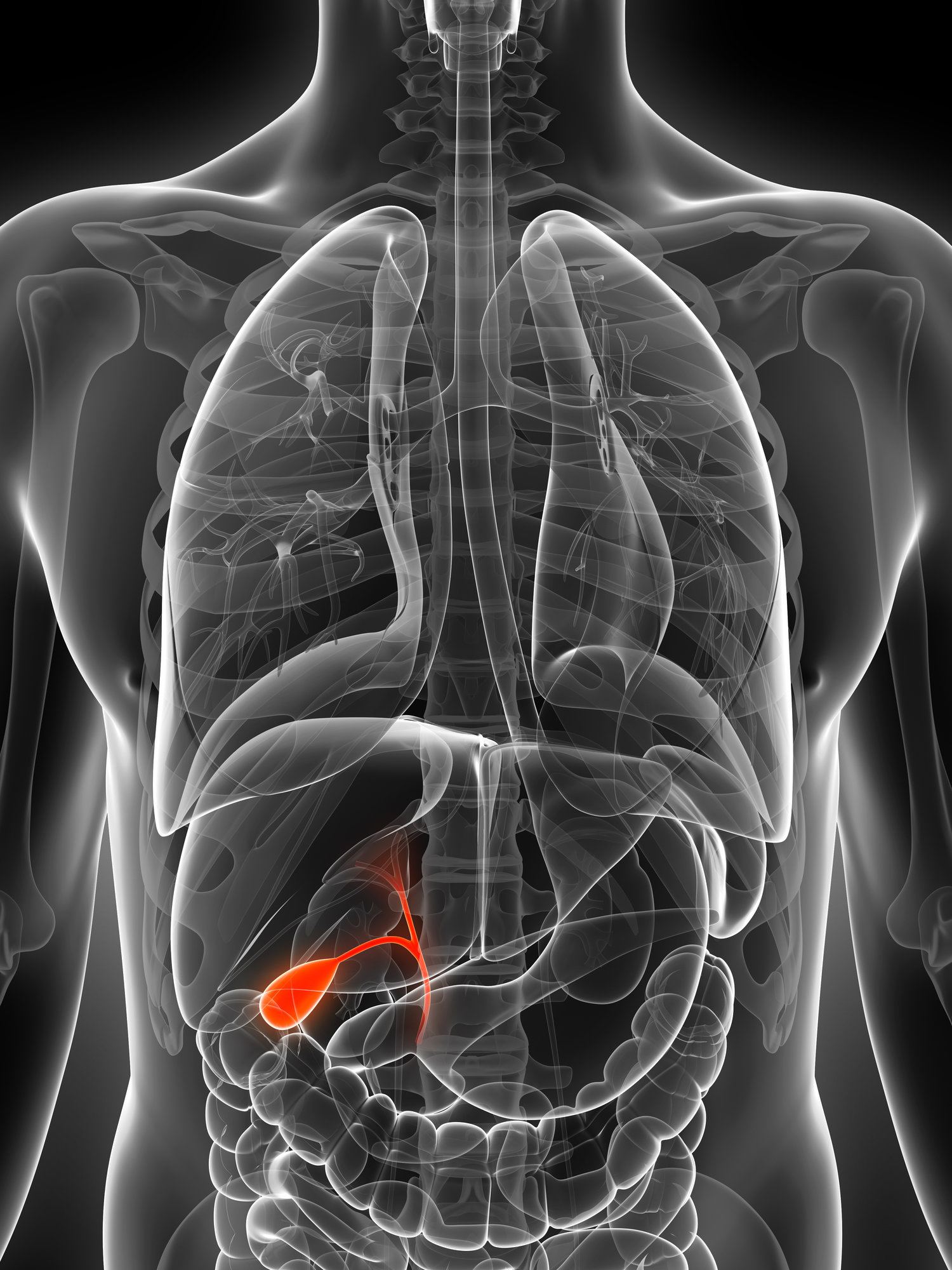 Save your gallbladder - Dr. Wang Wellness